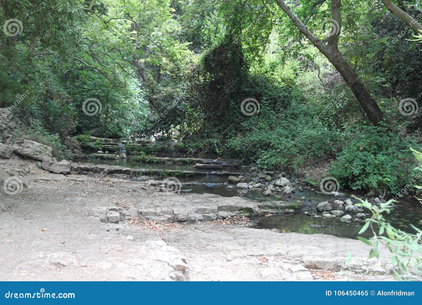 Terraced Brook in a Forest stock image. Image of stream - 106450465