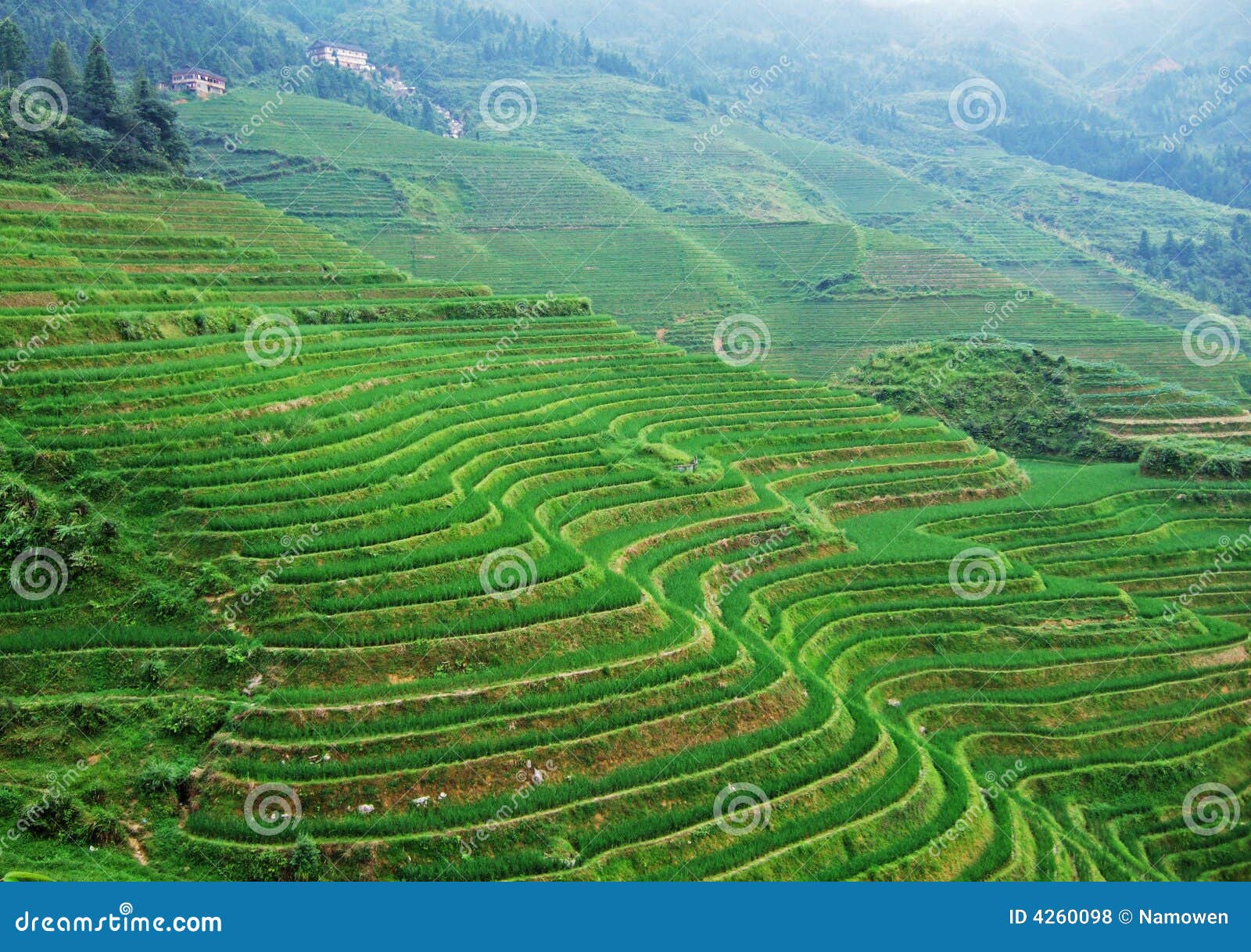 Terraced field and village stock photo. Image of curve - 4260098