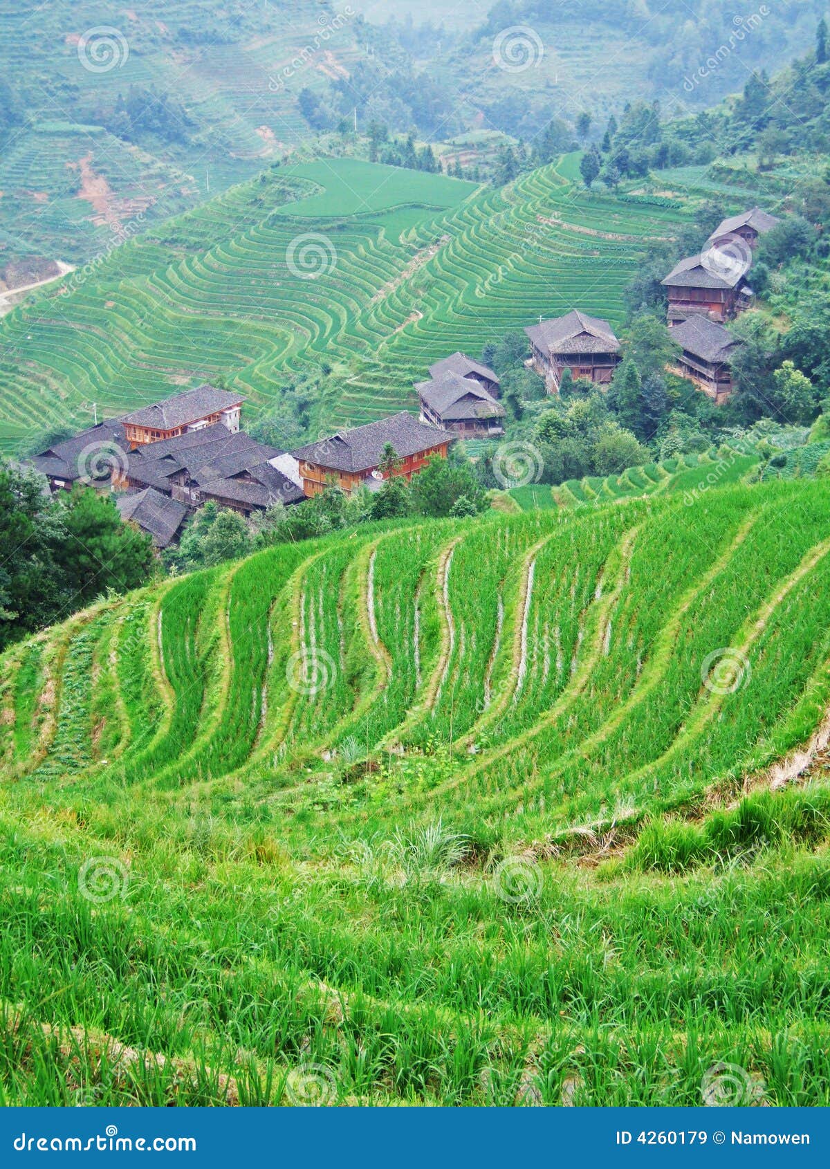 Terraced field and village stock image. Image of terrace - 4260179