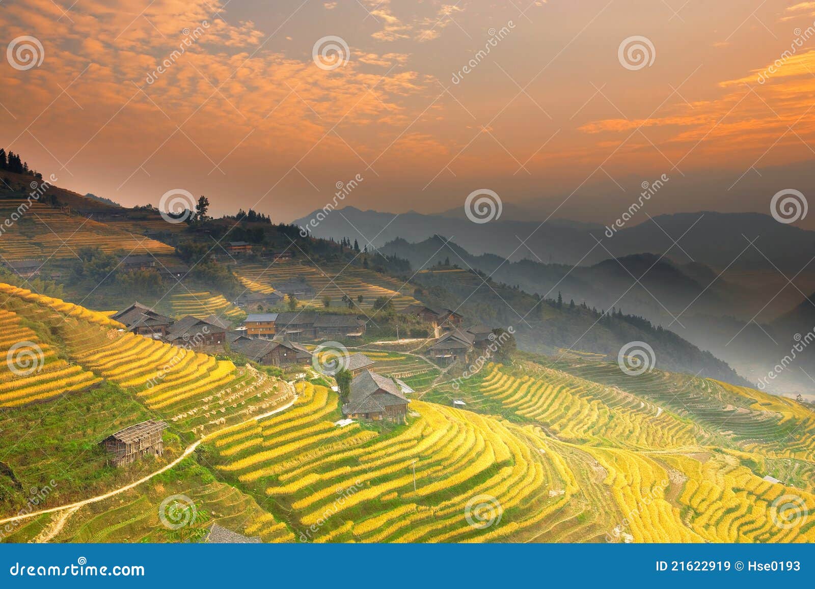 Terraced fields stock image. Image of land, landscape - 21622919