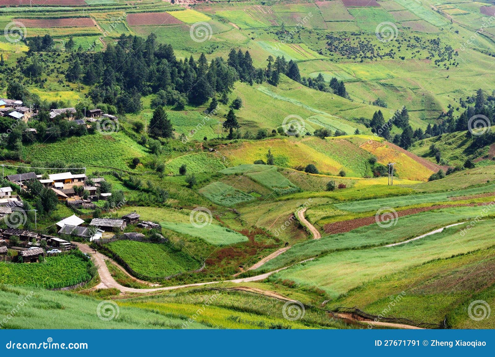 Terraced fields stock image. Image of aerial, daytime - 27671791