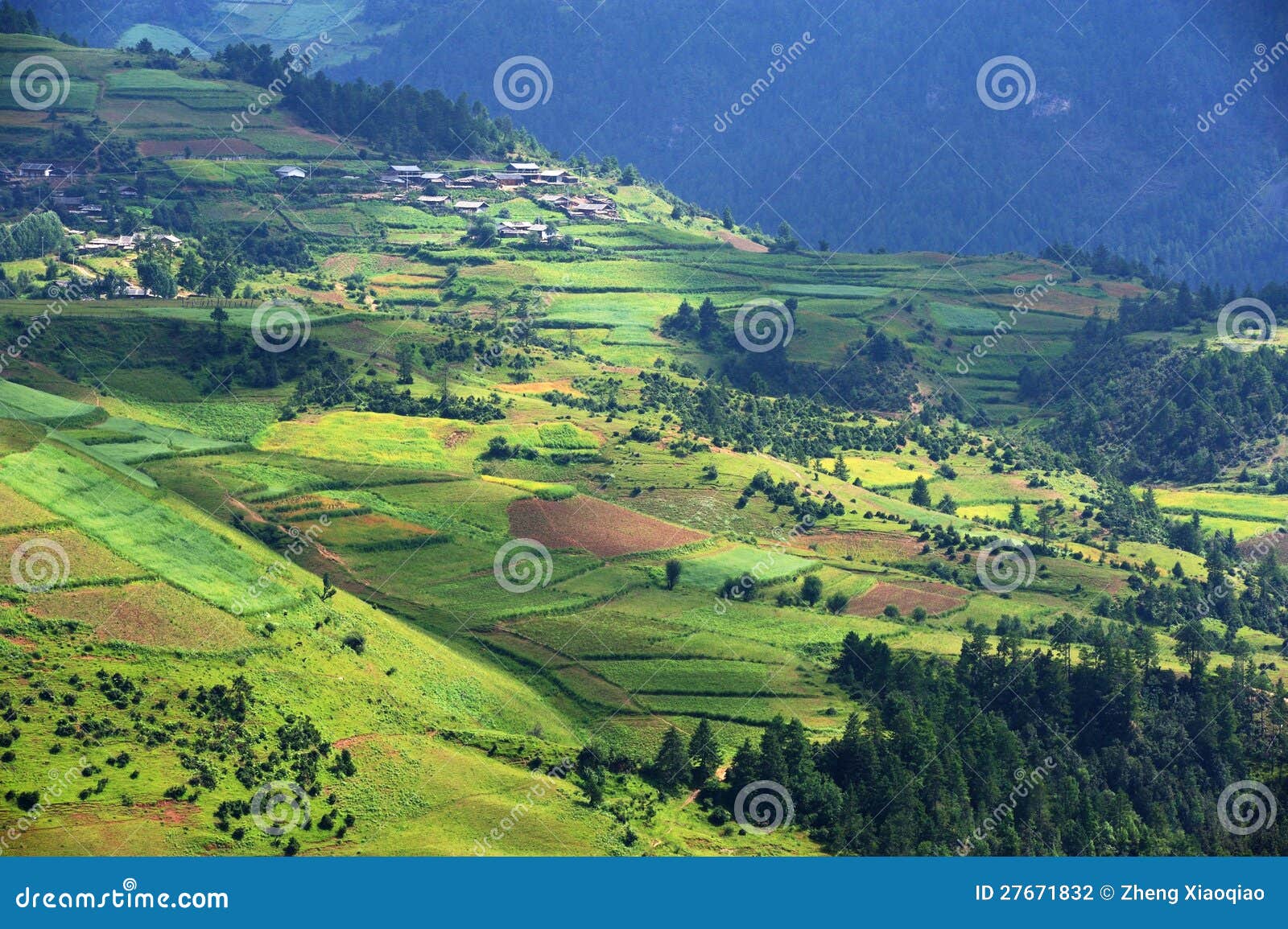 Terraced fields stock photo. Image of scenic, environmental - 27671832