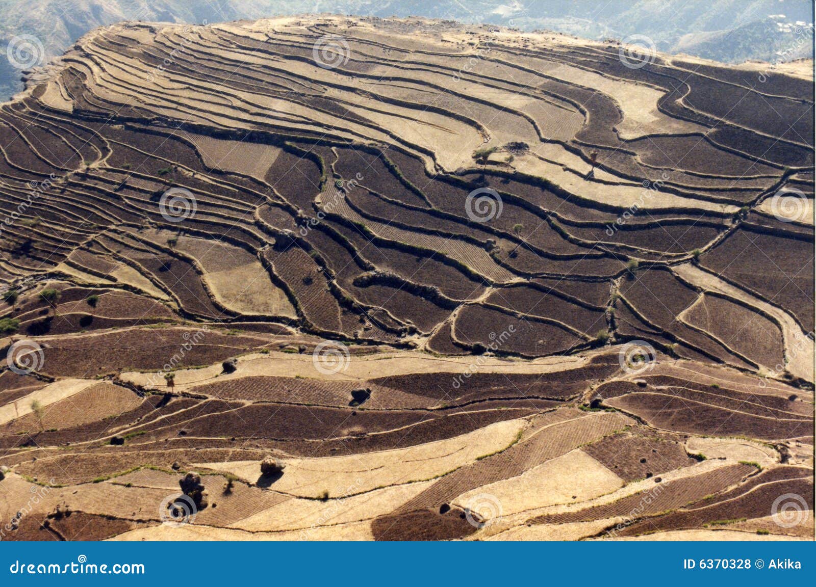 Terraced fields stock photo. Image of view, jemen, east - 6370328