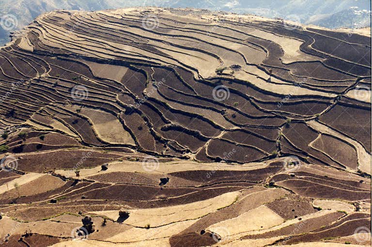 Terraced fields stock photo. Image of view, jemen, east - 6370328
