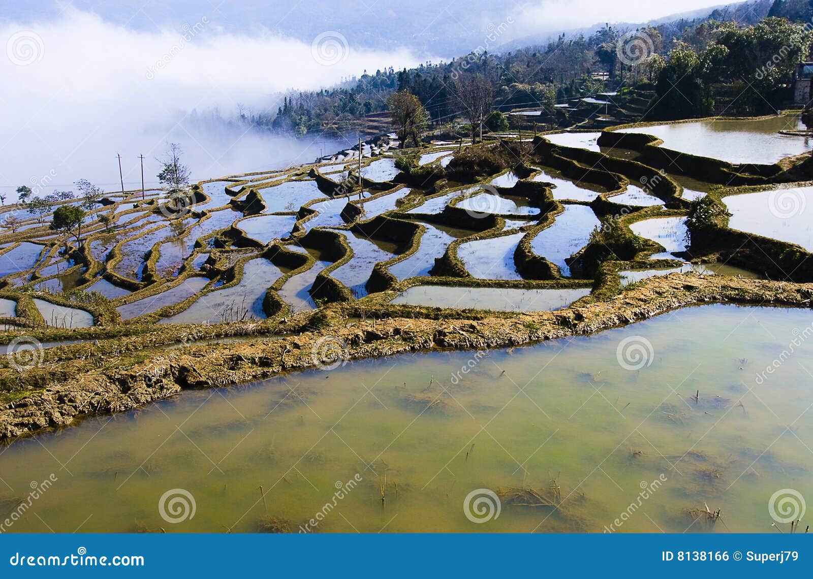 Terraced fields stock photo. Image of geology, forest - 8138166