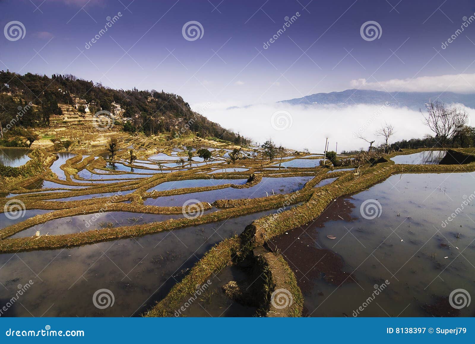 Terraced fields stock image. Image of harvest, chinese - 8138397