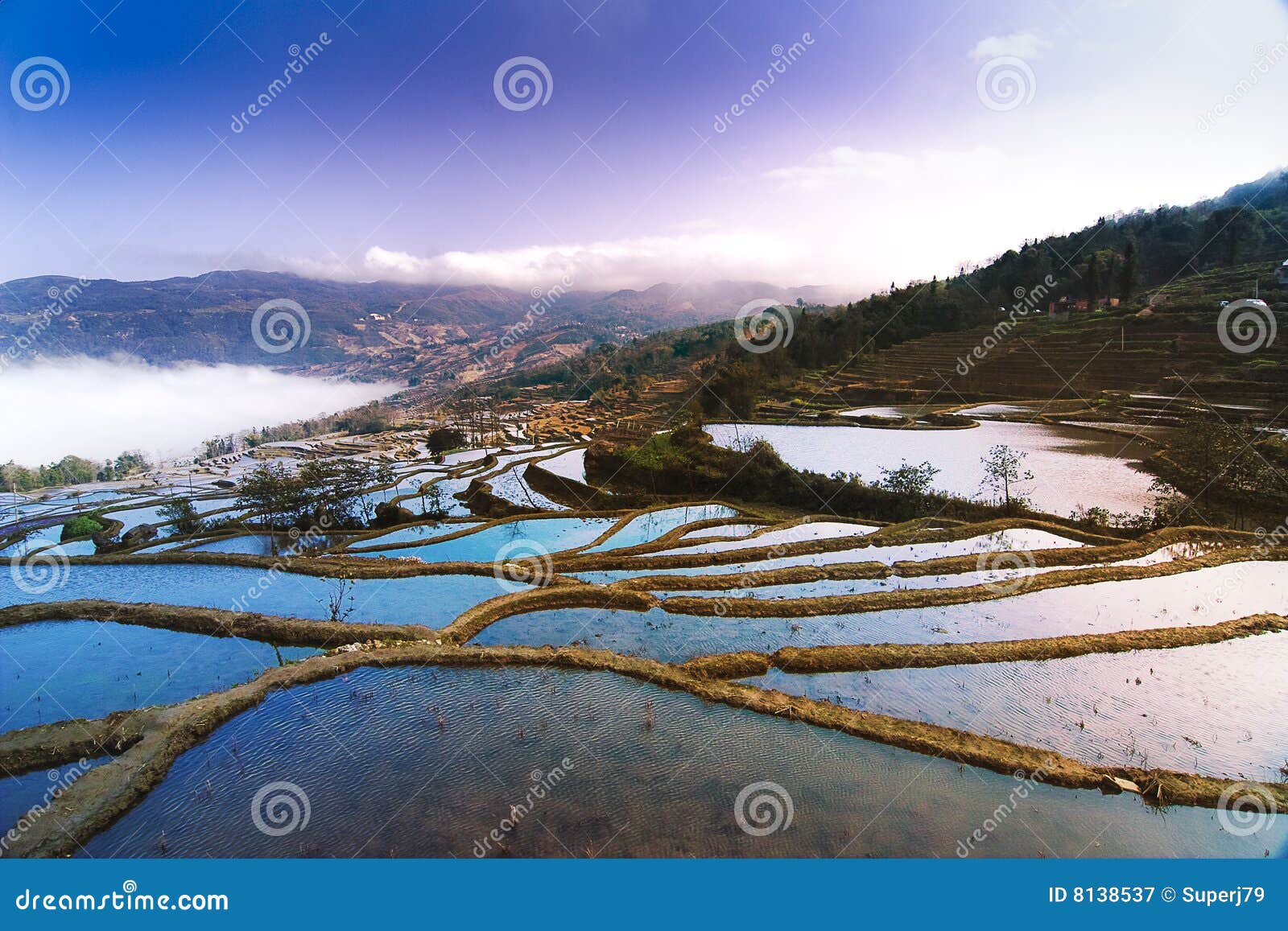Terraced fields stock image. Image of landmark, bali, ladder - 8138537