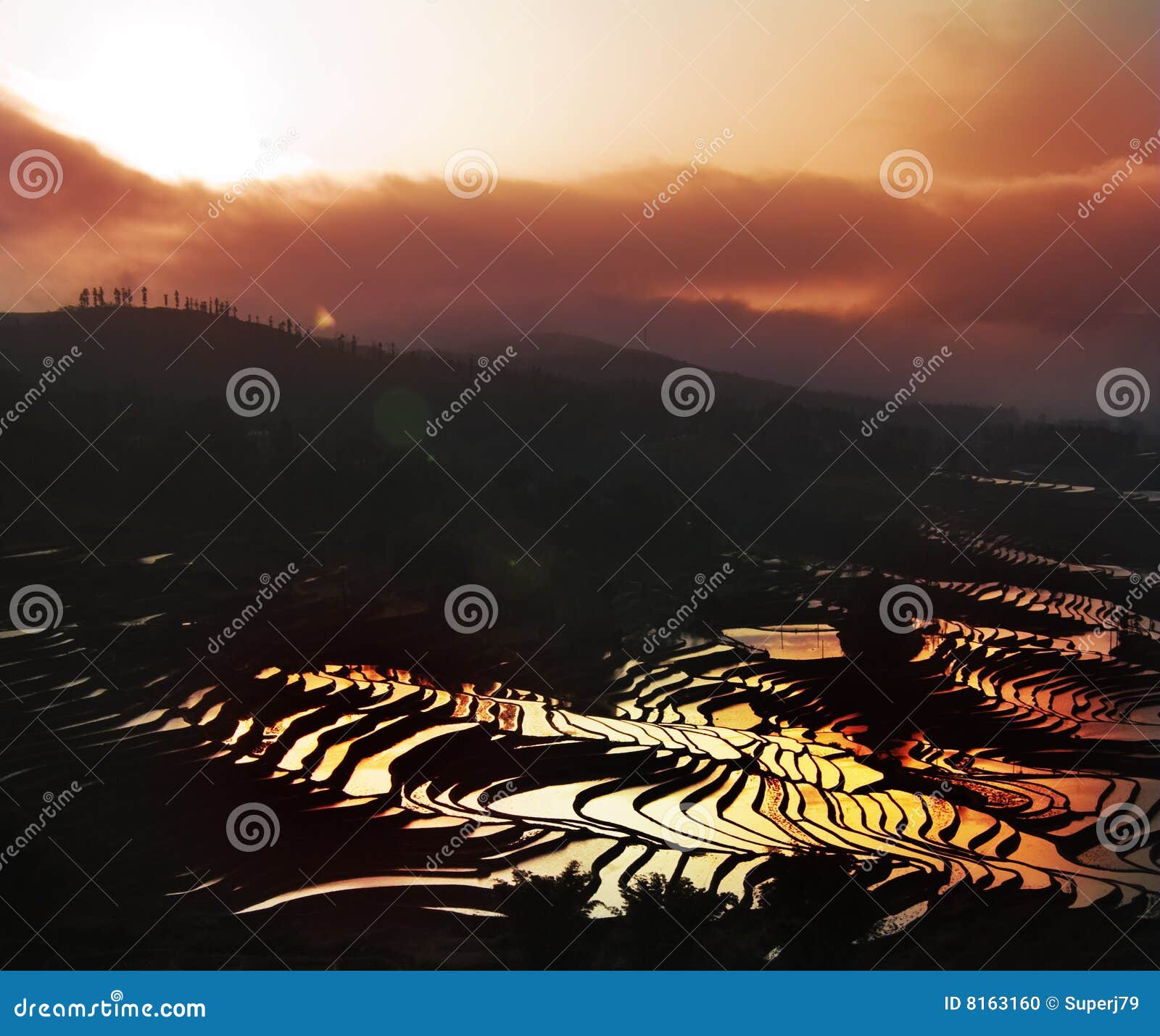 Terraced fields stock photo. Image of growing, farm, ancient - 8163160