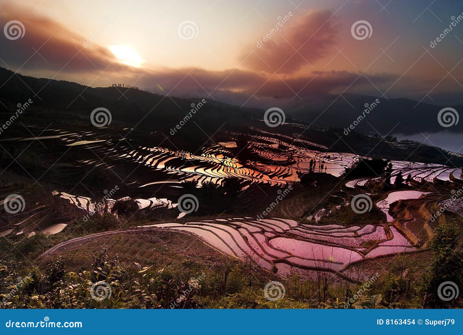 Terraced fields stock photo. Image of eastern, green, mountain - 8163454