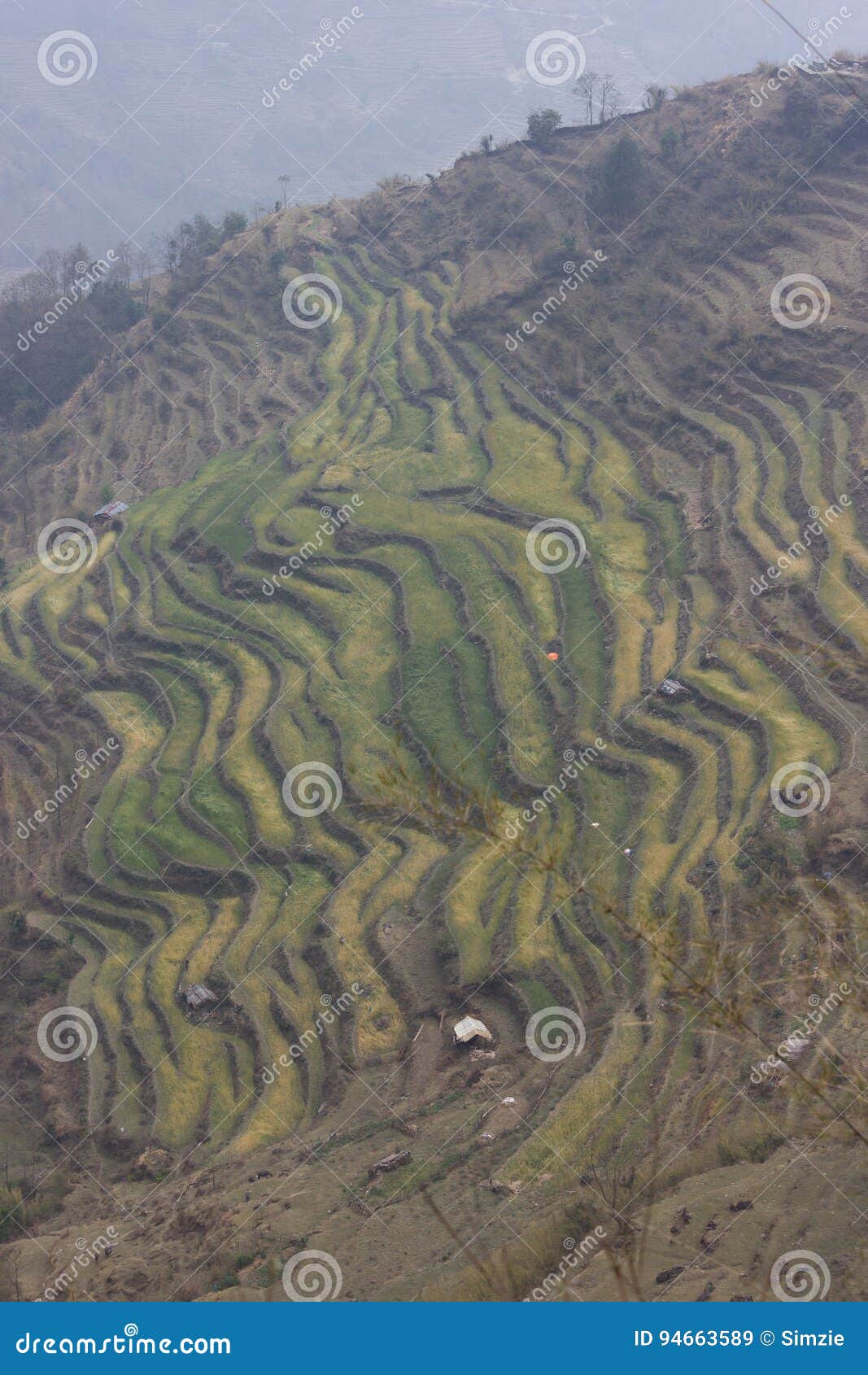 Terraced fields stock image. Image of descended, terraced - 94663589