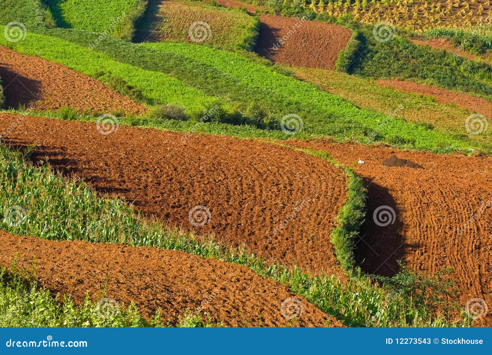 Terraced Fields in China (3) Stock Image - Image of earth, layers: 12273543