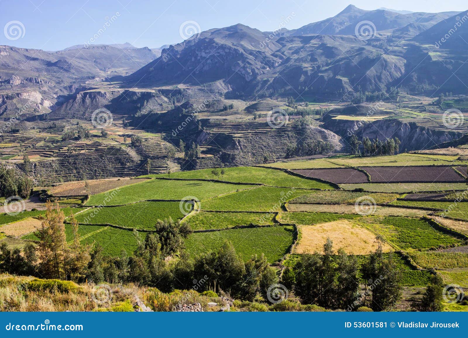 Terraced Fields Colca Canyon, Peru Stock Image - Image of traditional ...