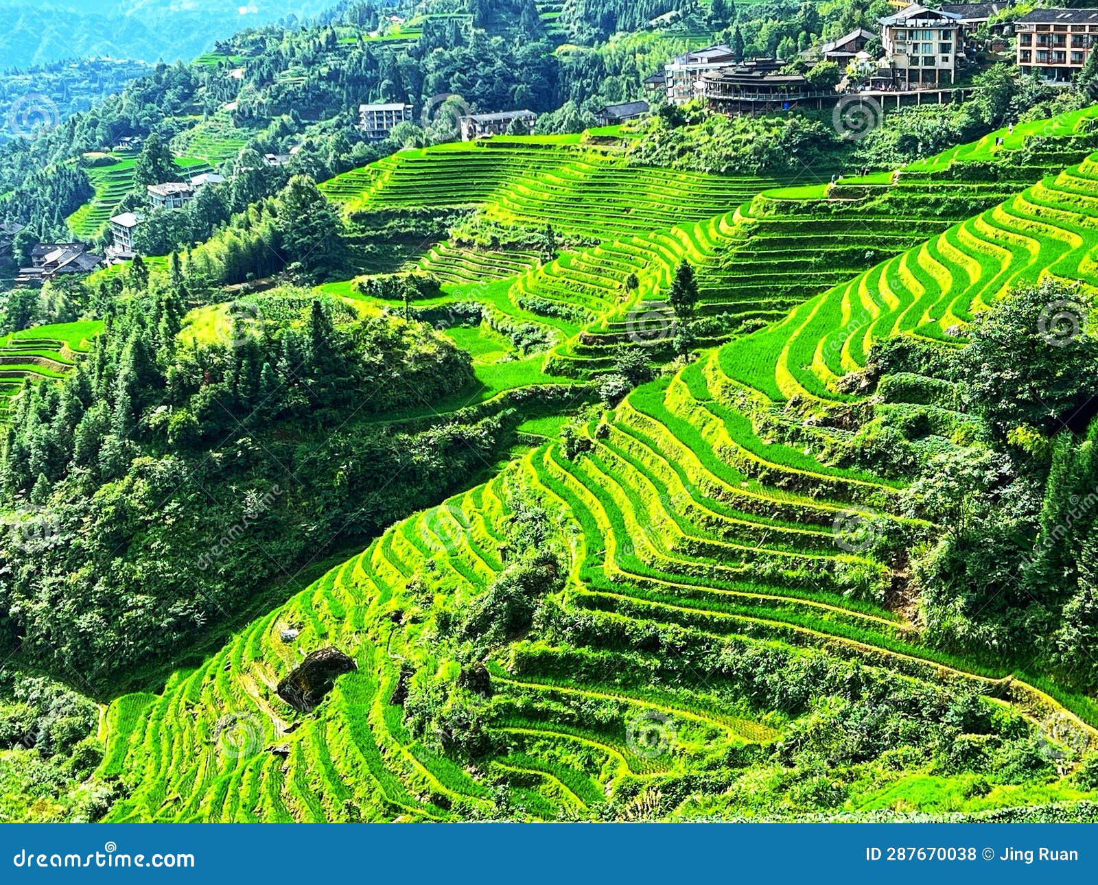 Terraced fields stock photo. Image of terraced, china - 287670038