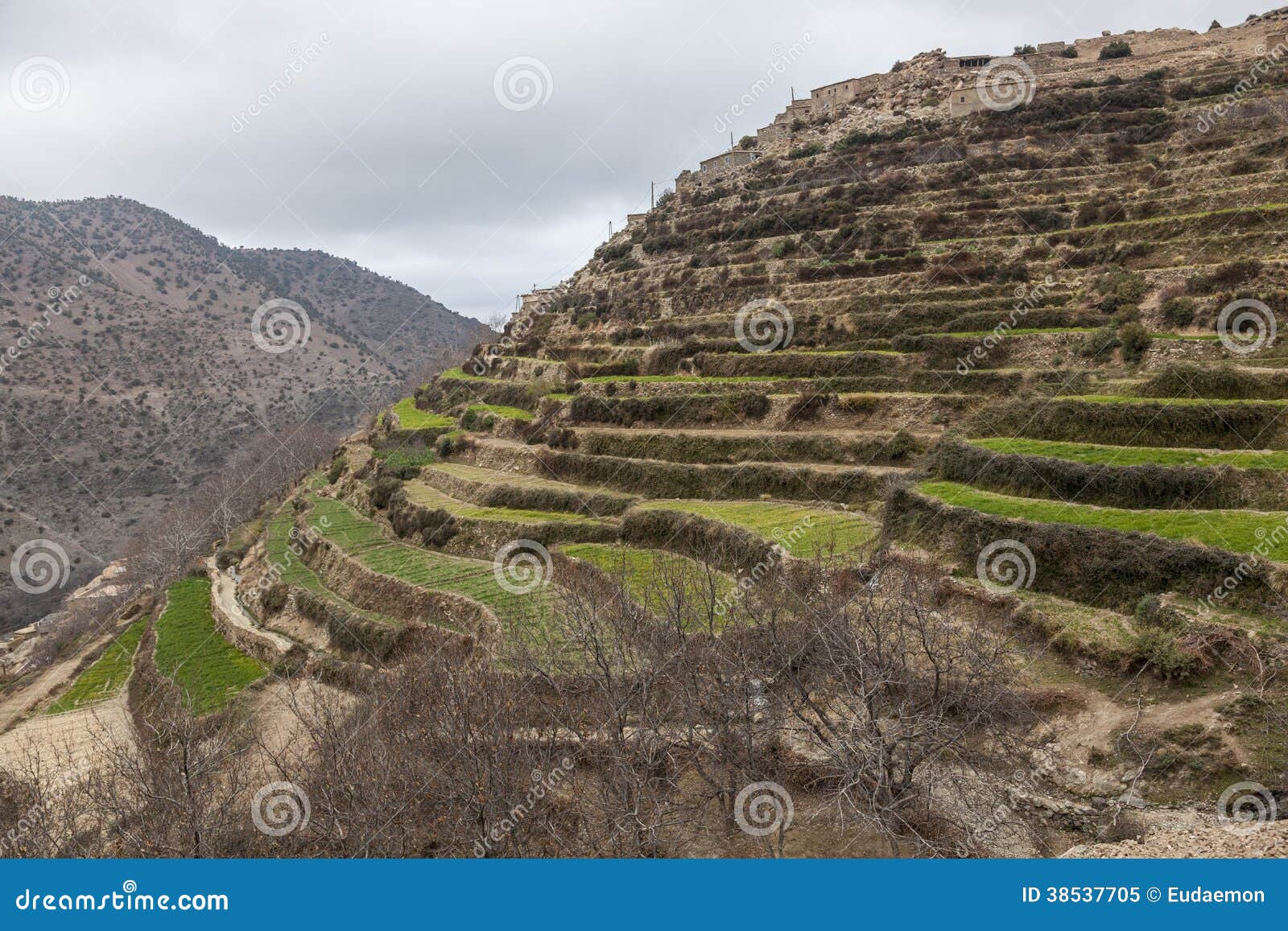 Terraced Fields in Mountains Stock Image - Image of holidays, islamic ...