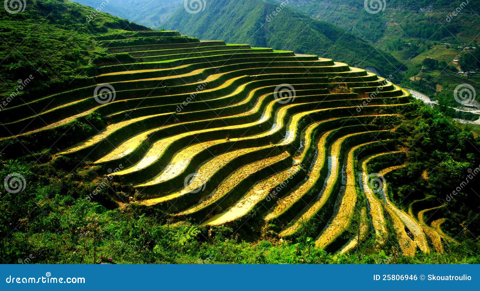 Terraced fields, Sapa stock photo. Image of inheritance - 25806946