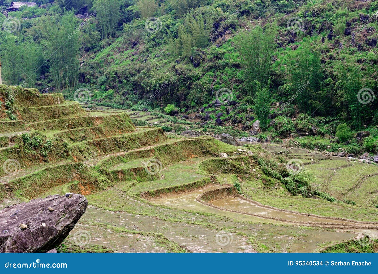 1,448 Sapa Hills Photos - Free & Royalty-Free Stock Photos from Dreamstime