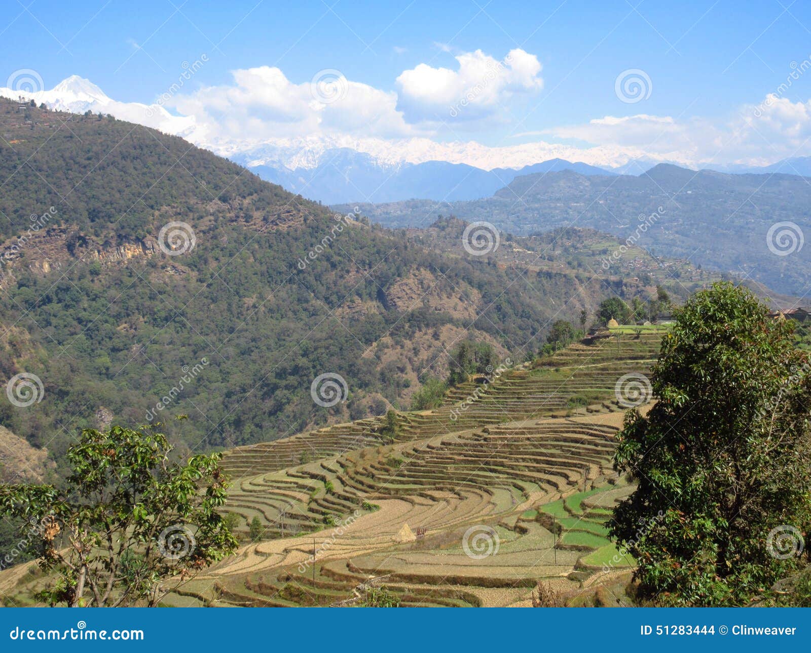Terraced Hillside stock photo. Image of farming, nepal - 51283444