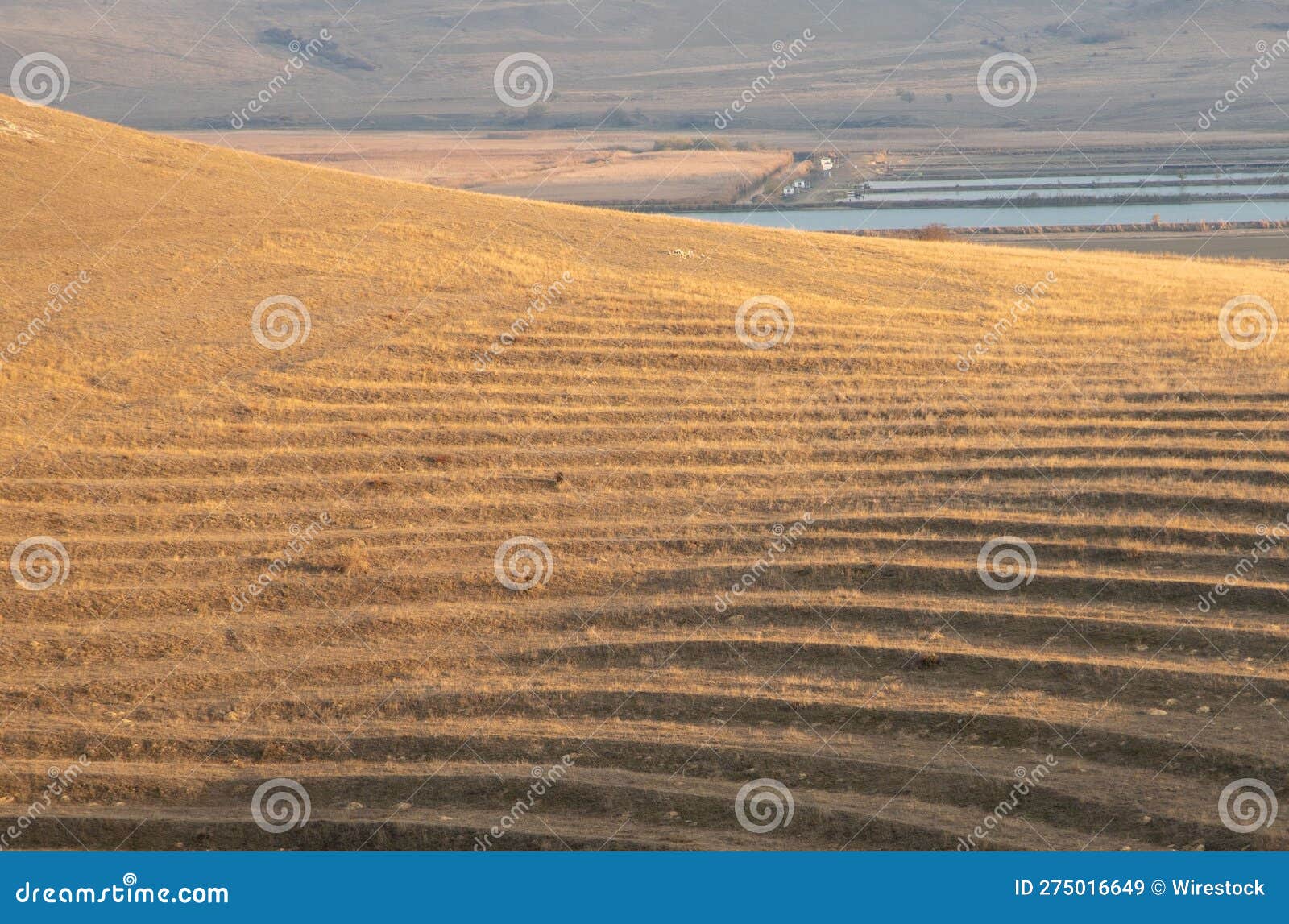Land on the Slope of a Hill Stock Image - Image of country, terrain ...