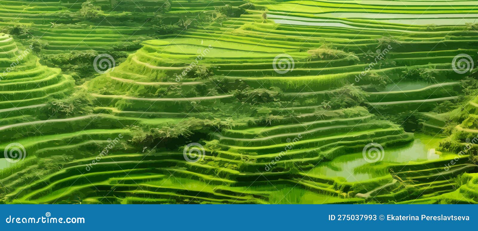 Terraced Plantation Poster Chinese Rice Fields Stock Illustration ... Terraced Plantation Poster Chinese Rice Fields Stock Illustration ...