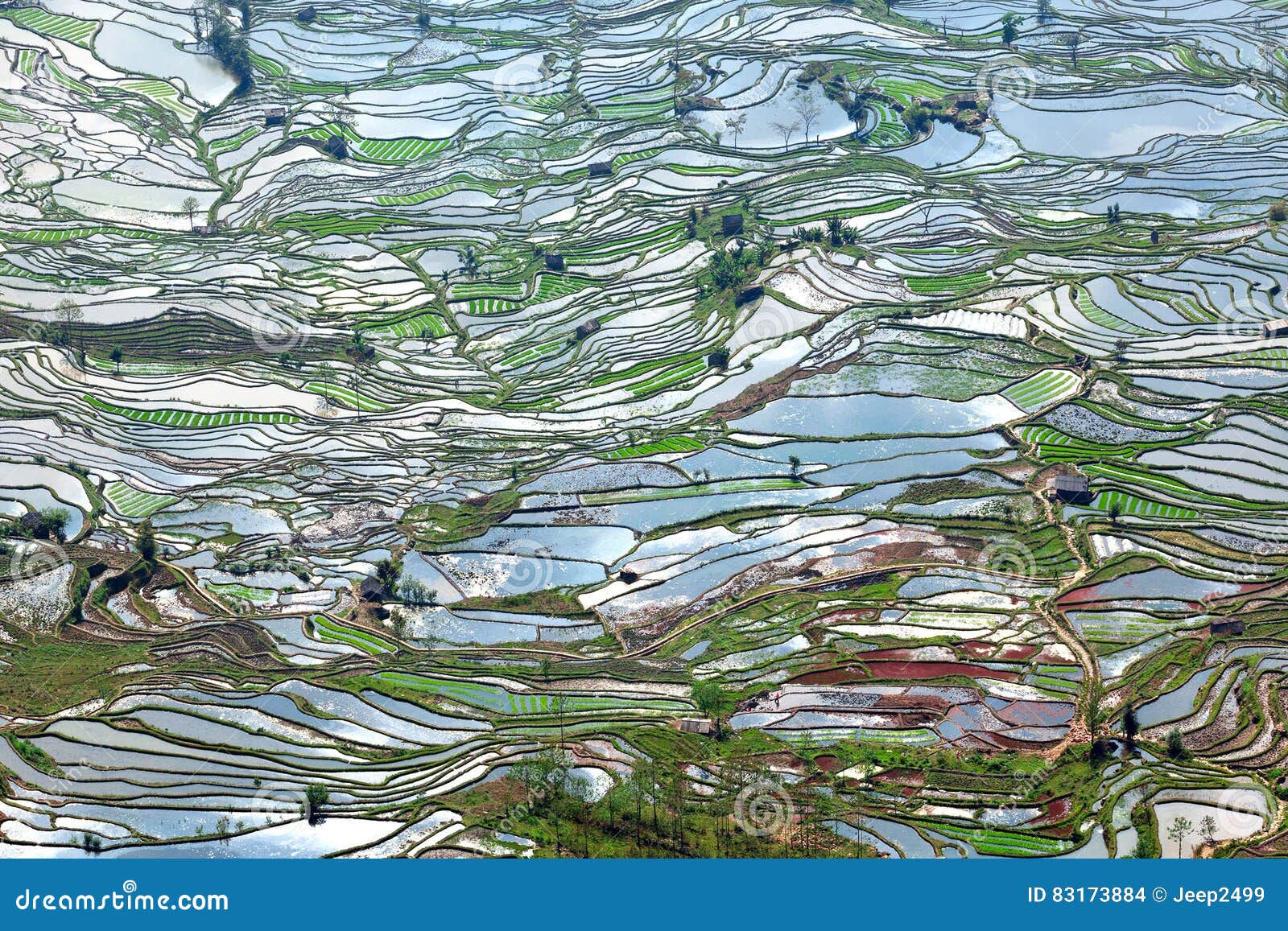 Terraced Rice Field in China. Stock Photo - Image of grows, asian: 83173884