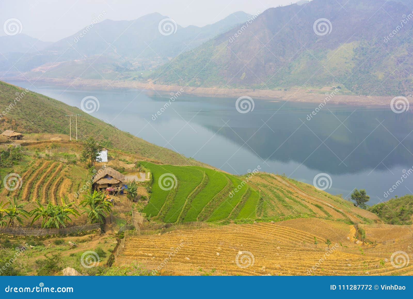 Terraced Rice Field by Riverside Stock Photo - Image of earth, hmong ...