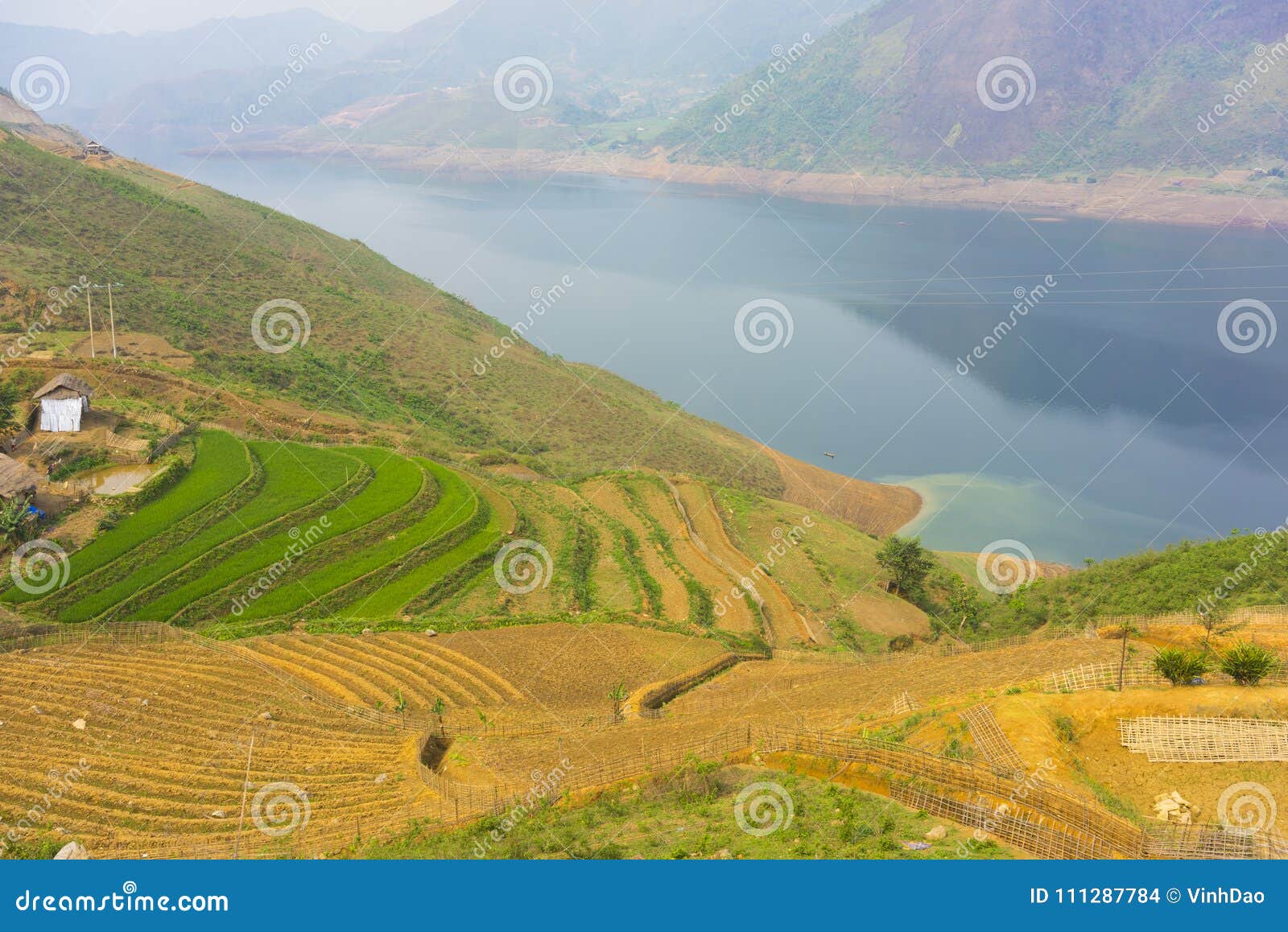 Terraced Rice Field by Riverside Stock Photo - Image of harvesting ...