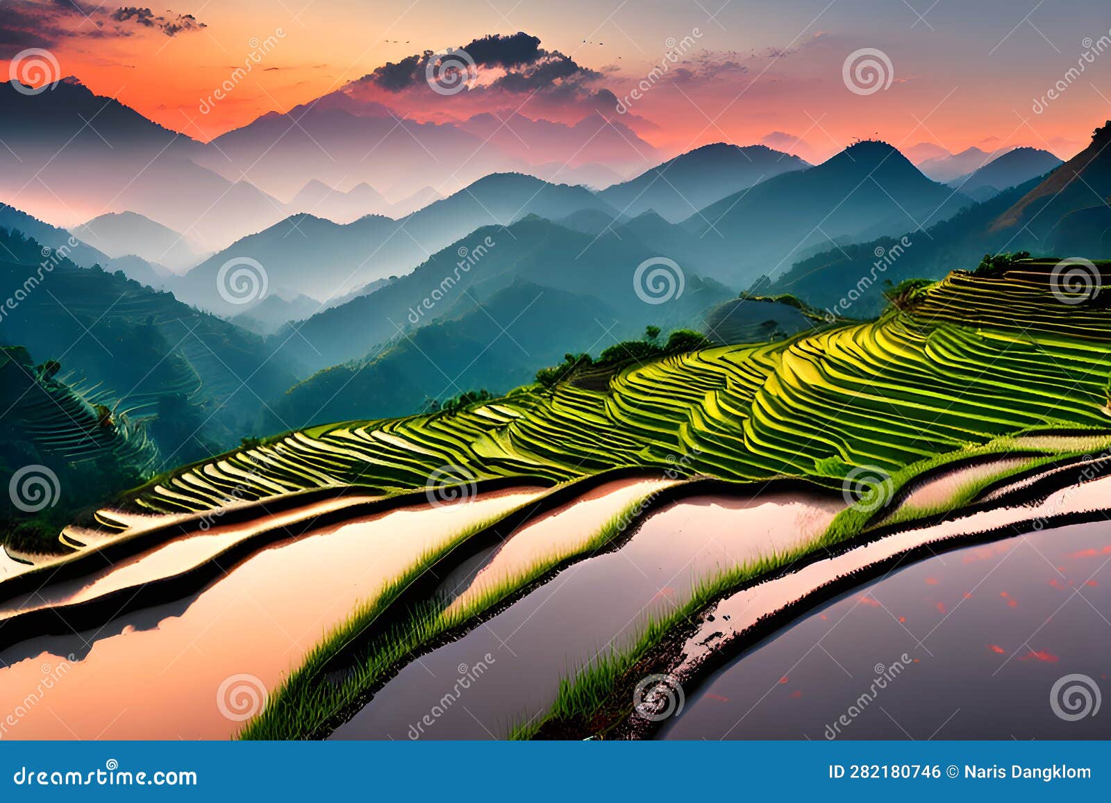 The Terraced Rice Field at Sunset in Thailand Stock Illustration ...