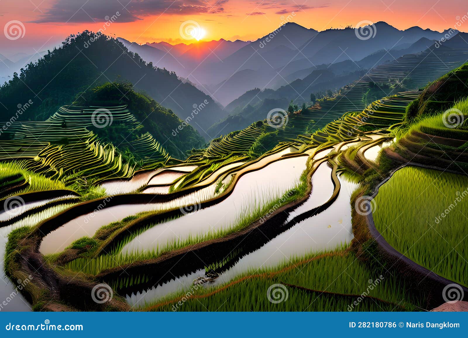 Terraced Rice Field In Bali, Indonesia. Rice Terraces Are The Main ...