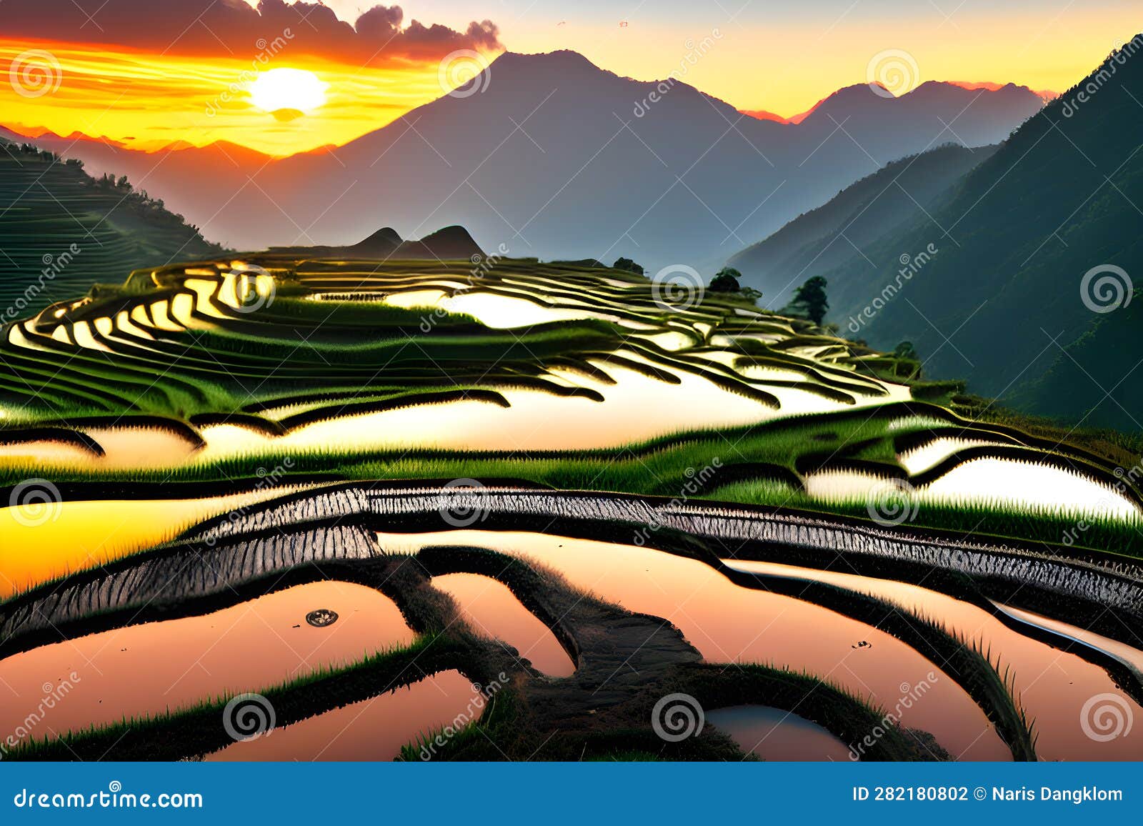 Terraced Rice Field In Bali, Indonesia. Rice Terraces Are The Main ...