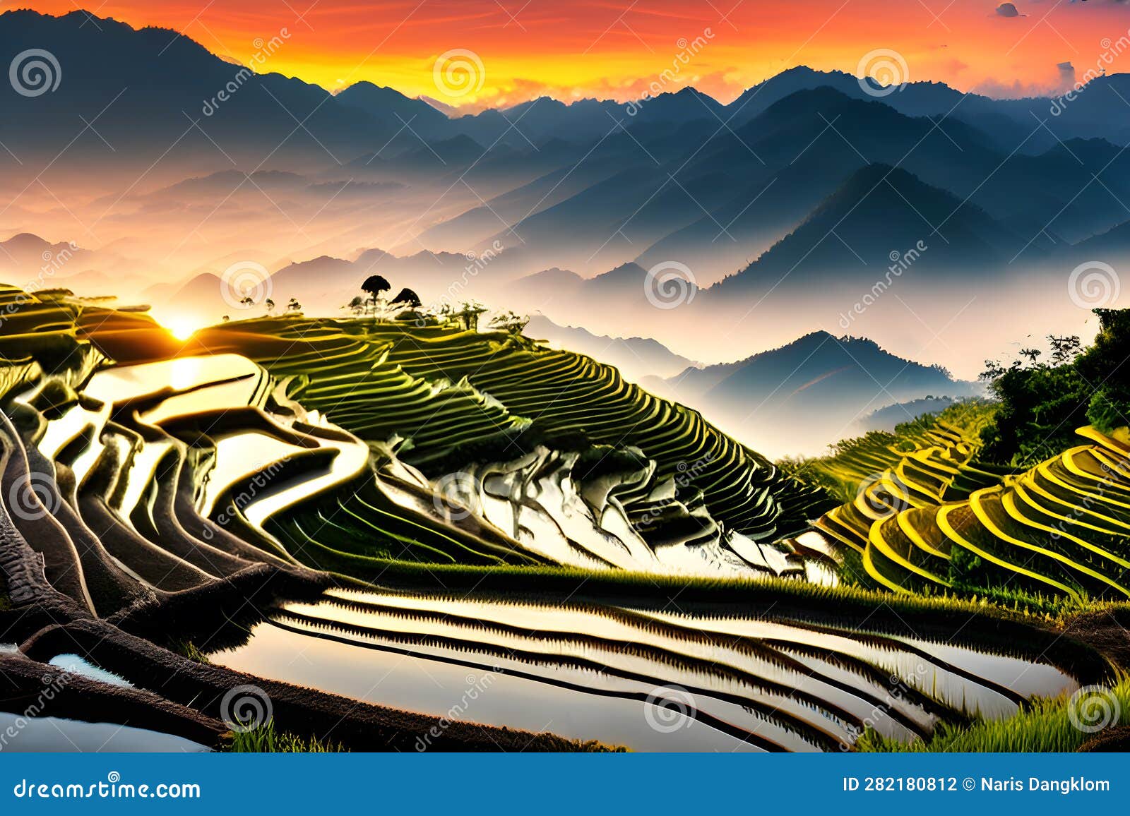 The Terraced Rice Field at Sunset in Thailand Stock Illustration ...