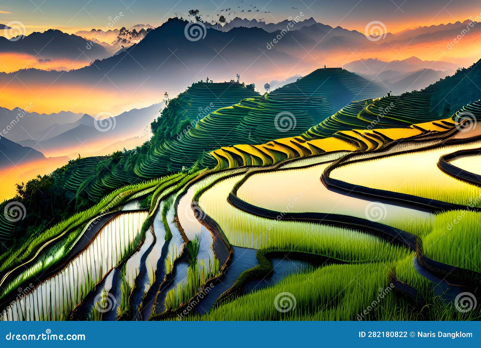 Terraced Rice Field In Bali, Indonesia. Rice Terraces Are The Main ...