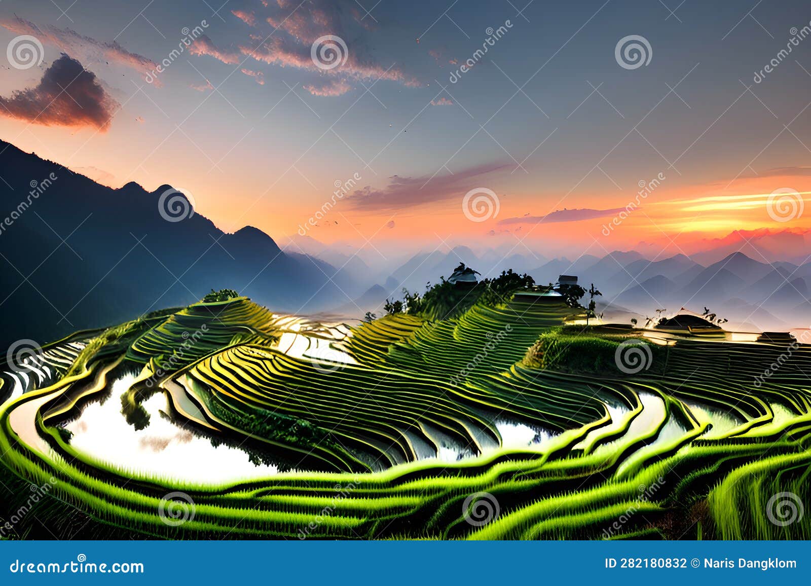 The Terraced Rice Field at Sunset in Thailand Stock Illustration ...