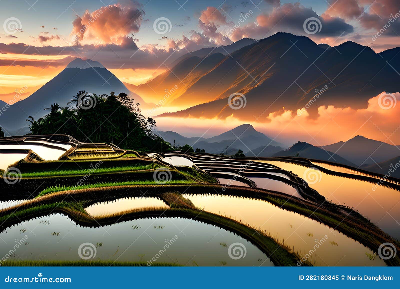 The Terraced Rice Field at Sunset in Thailand Stock Illustration ...