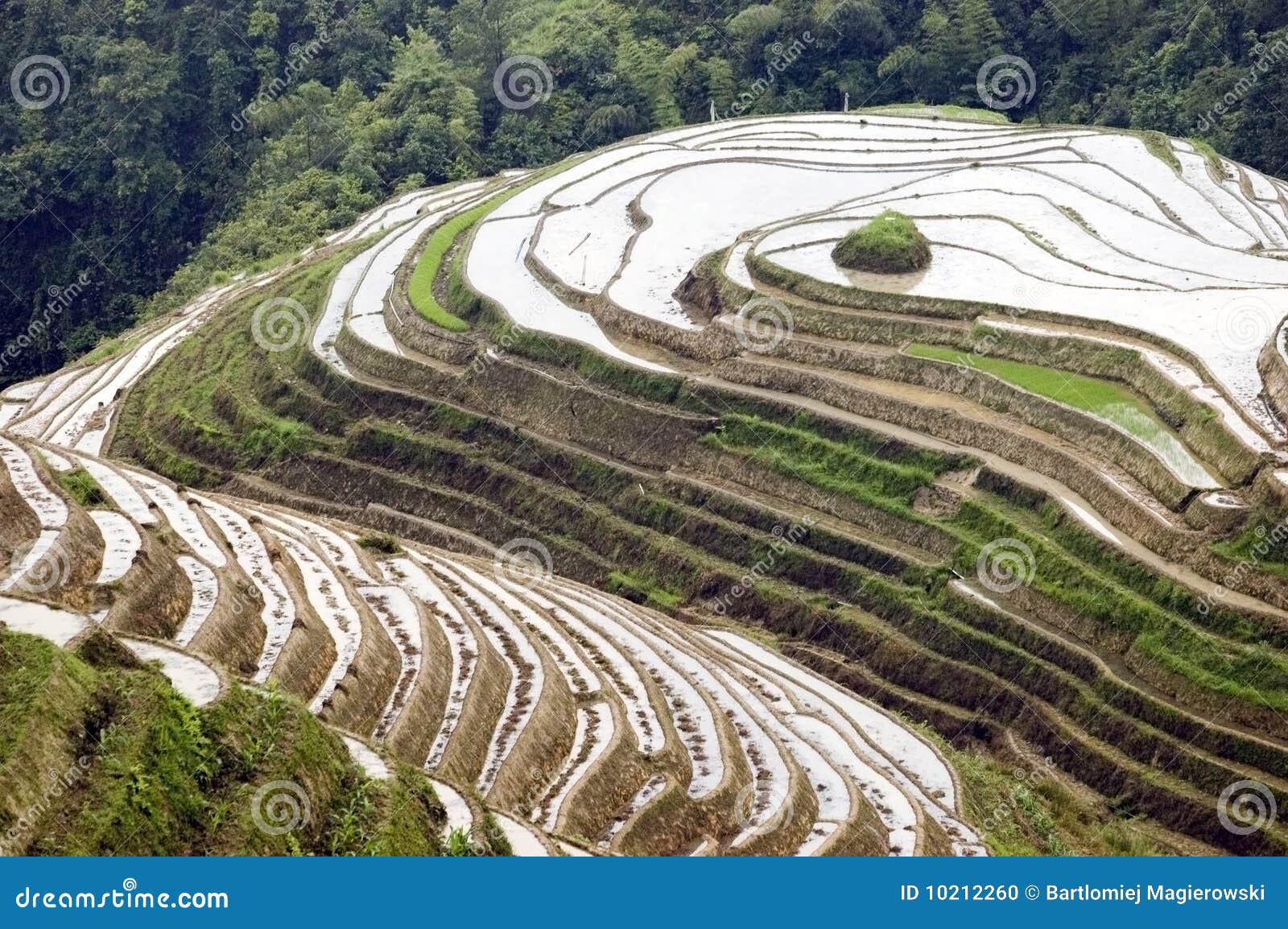 Terraced Rice Fields in Guilin, Longshan Stock Photo - Image of asian ...