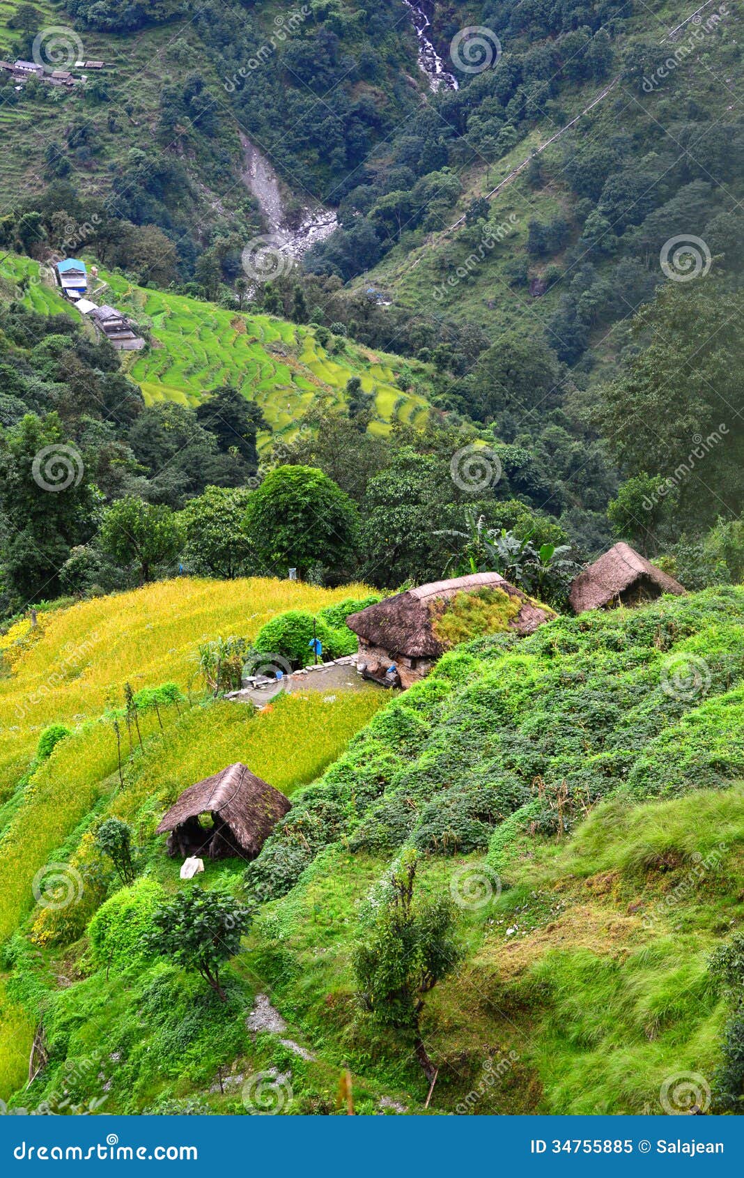 Terraced Rice Fields. Himalayas, Nepal Stock Image - Image of mountain ...