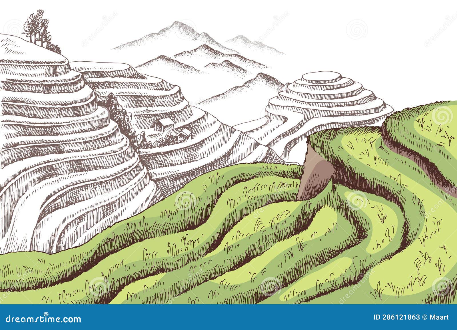 Terraced Rice Fields Hand Drawn Illustration | CartoonDealer.com #288854216