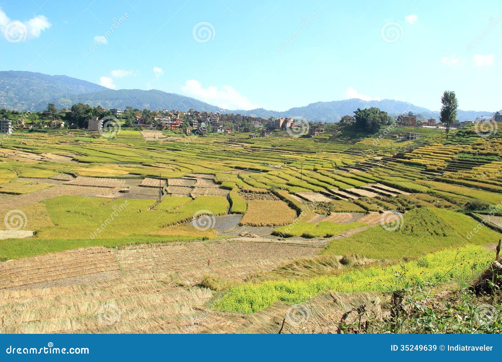 Terraced Rice Fields in Nepal. Stock Image - Image of farm, paddies ...