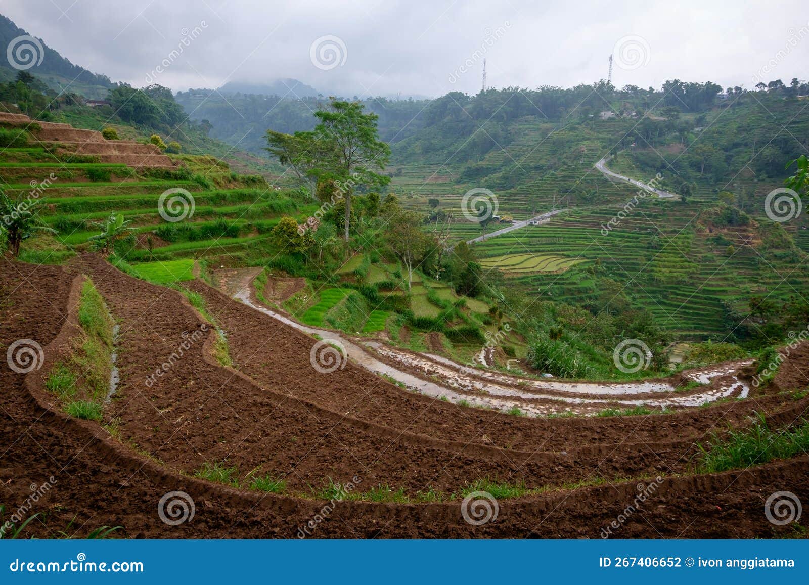 Terraced Rice Fields on the Slopes of the Mountains Stock Photo - Image ...