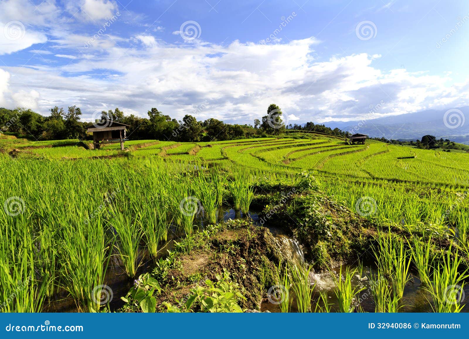 Terraced rice fields stock photo. Image of asian, country - 32940086