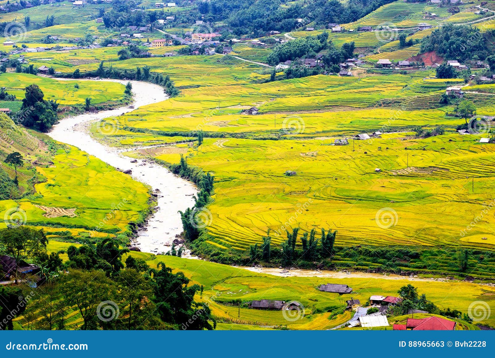 Terraced Rice Fields in Vietnam Stock Image - Image of green, food ...