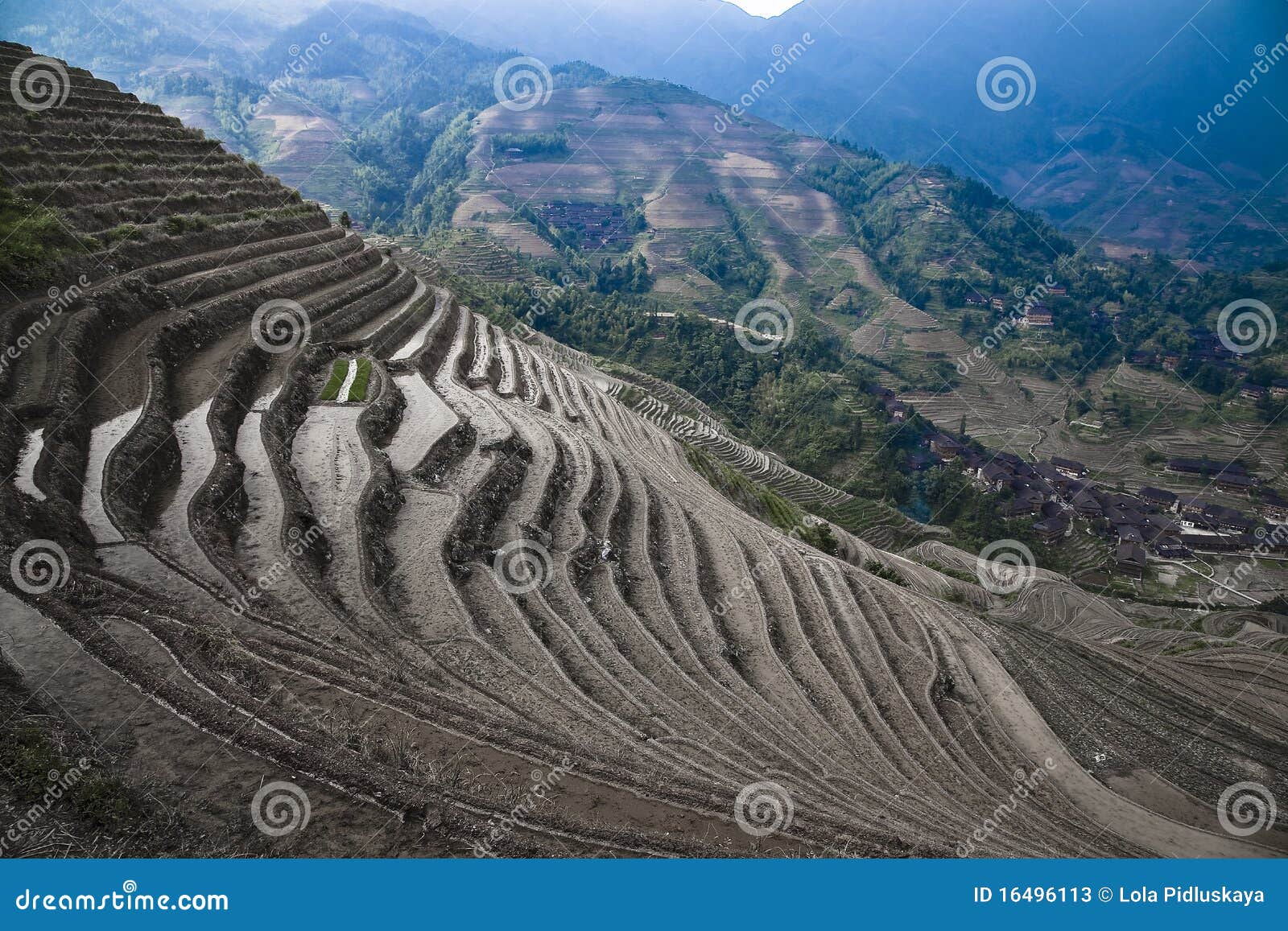 Terraced rice paddies stock image. Image of terraced - 16496113