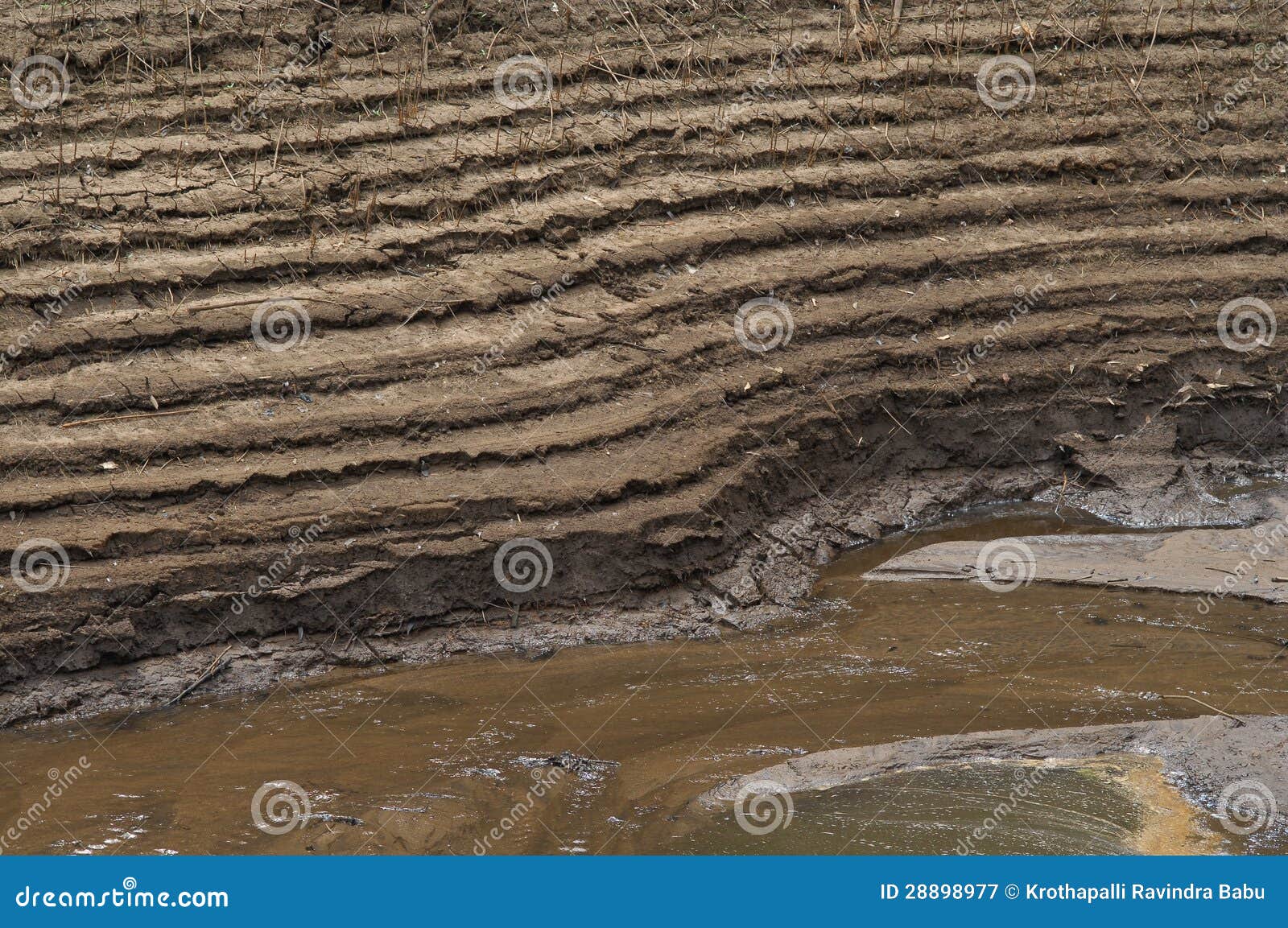 Terraced soil by river stock image. Image of flows, brown - 28898977