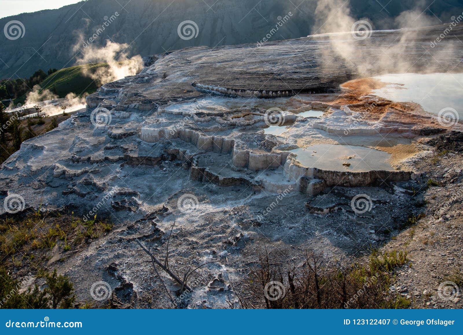 Limestone Dissolved By Trickling Water Has Formed Both Stalagmites And ...
