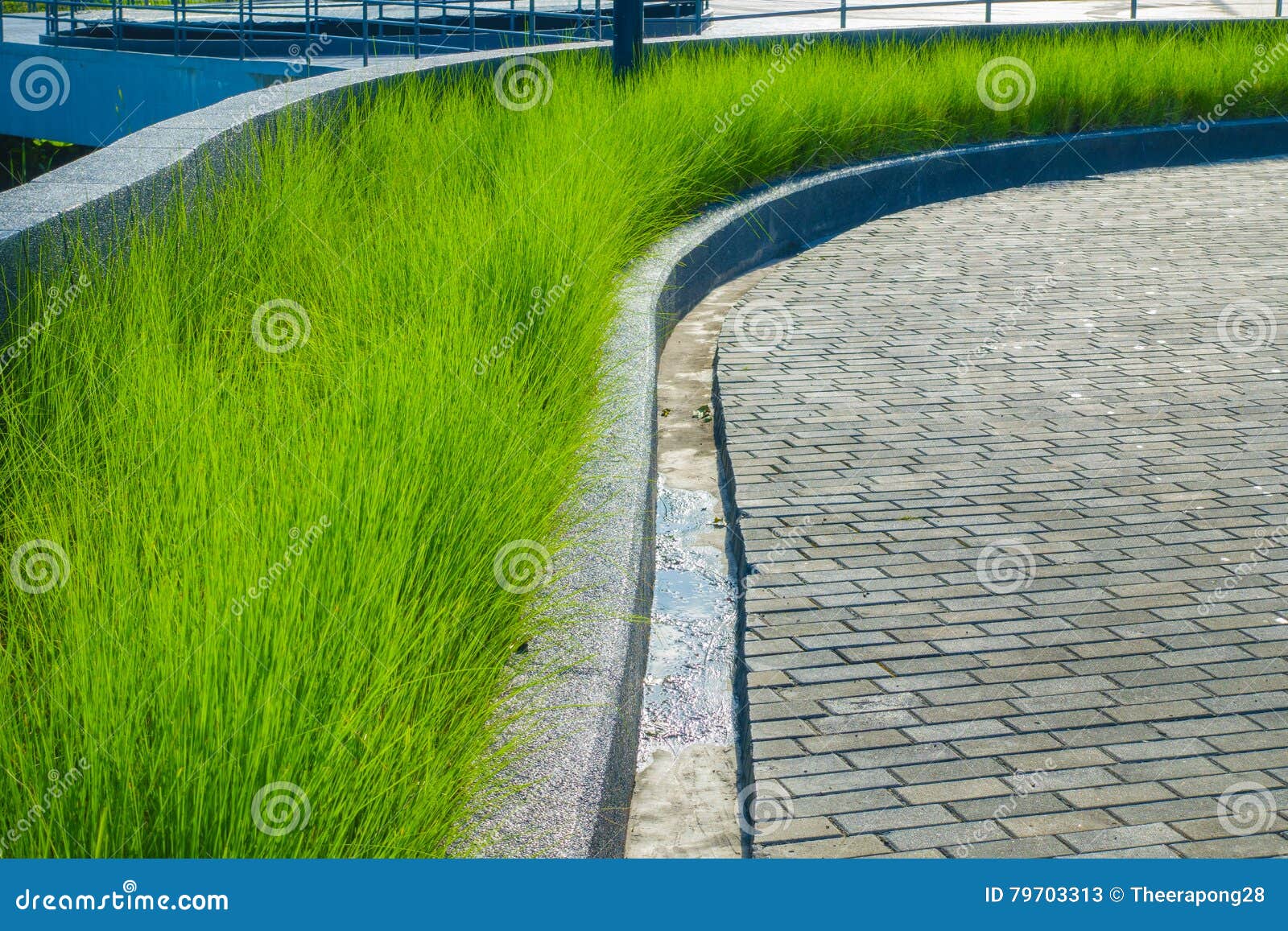 Terraces with Grass and Foot Path Stock Image - Image of exterior, leaf ...