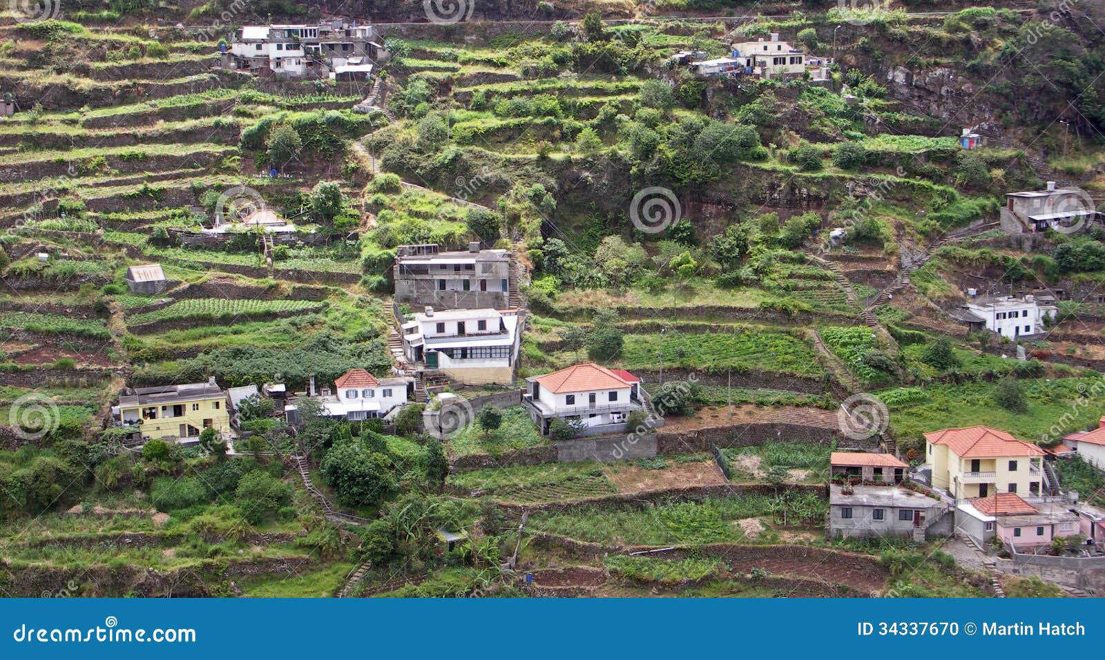 Terraces Madeira stock photo. Image of portugal, hill - 34337670