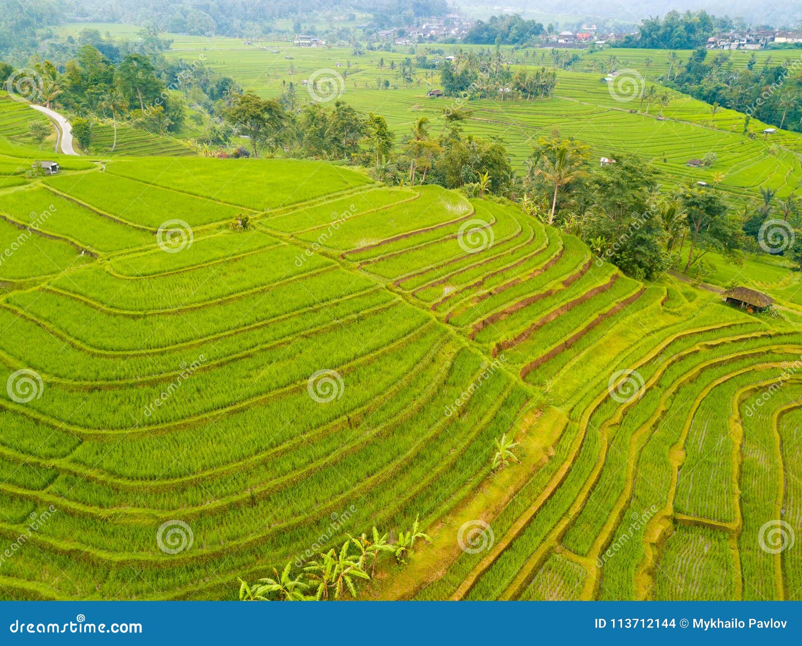 Terraces of Rice Fields in Indonesia. Aerial View Stock Photo - Image ...