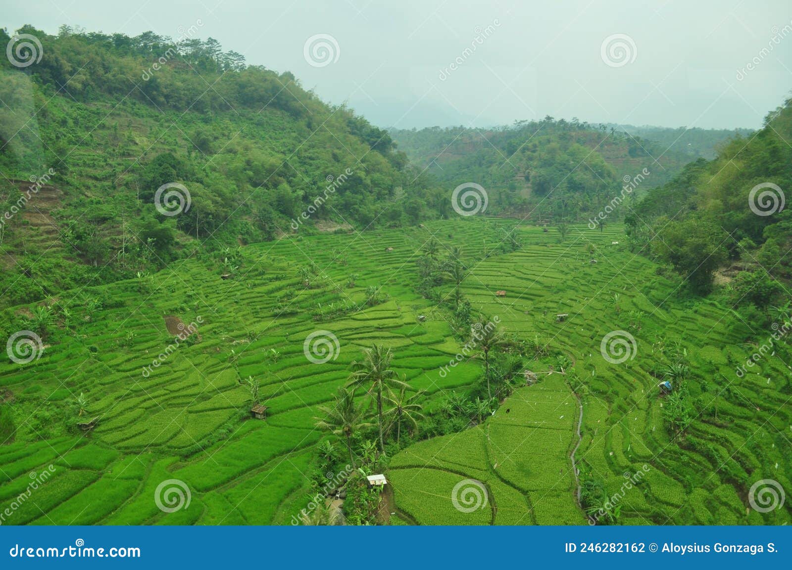 Terracing Technique Stock Photos - Free & Royalty-Free Stock Photos ...