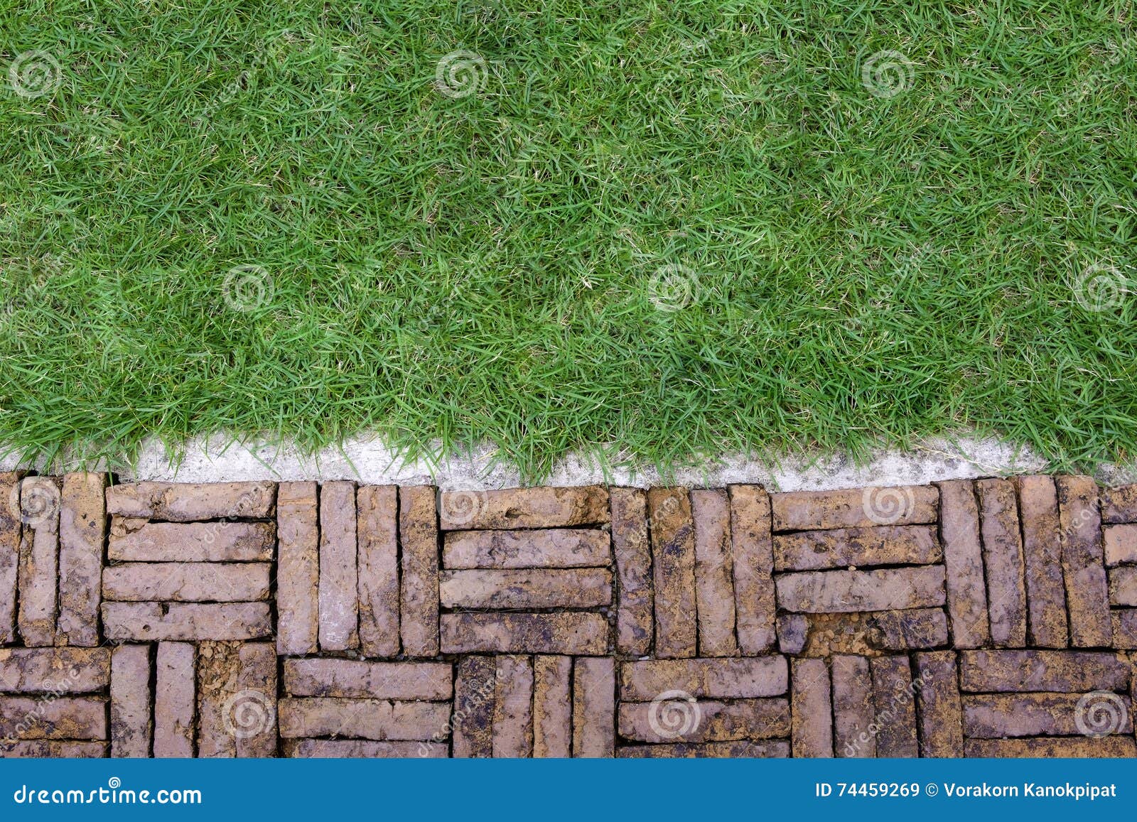 Terracotta Brick Path Pattern with Green Grass Stock Image - Image of ...