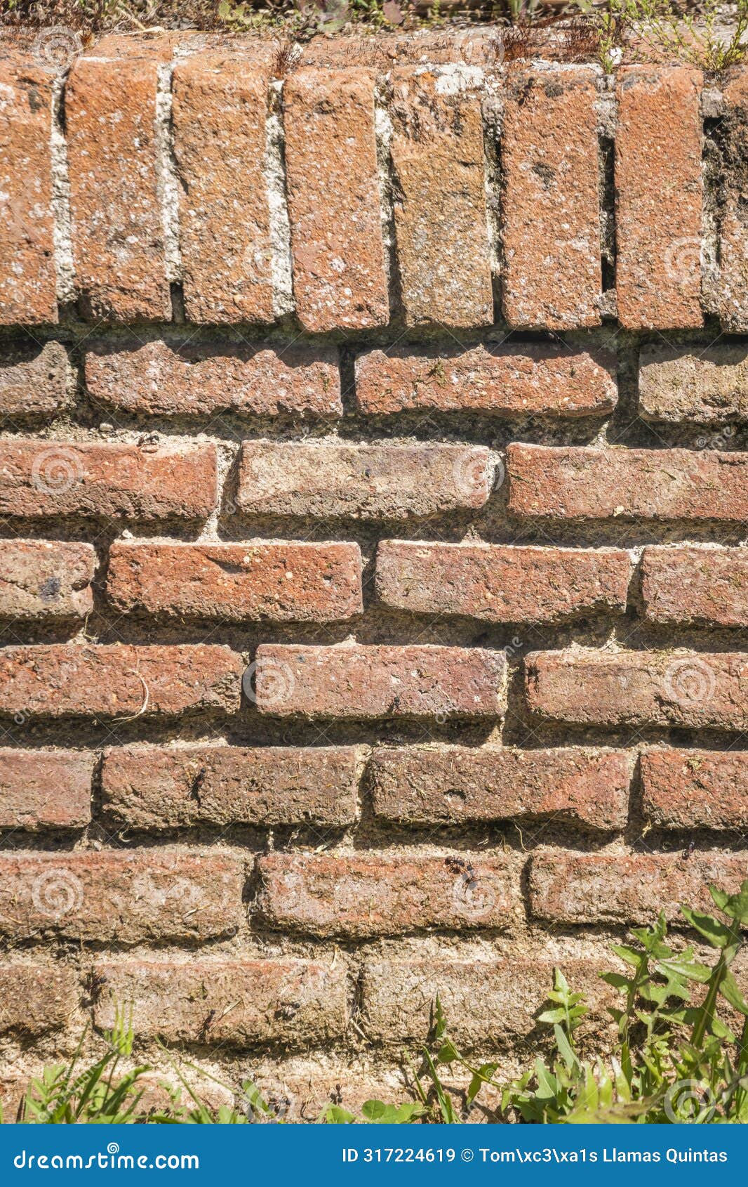 Terracotta Brick Wall, Vector Texture Background Stock Image - Image of ...