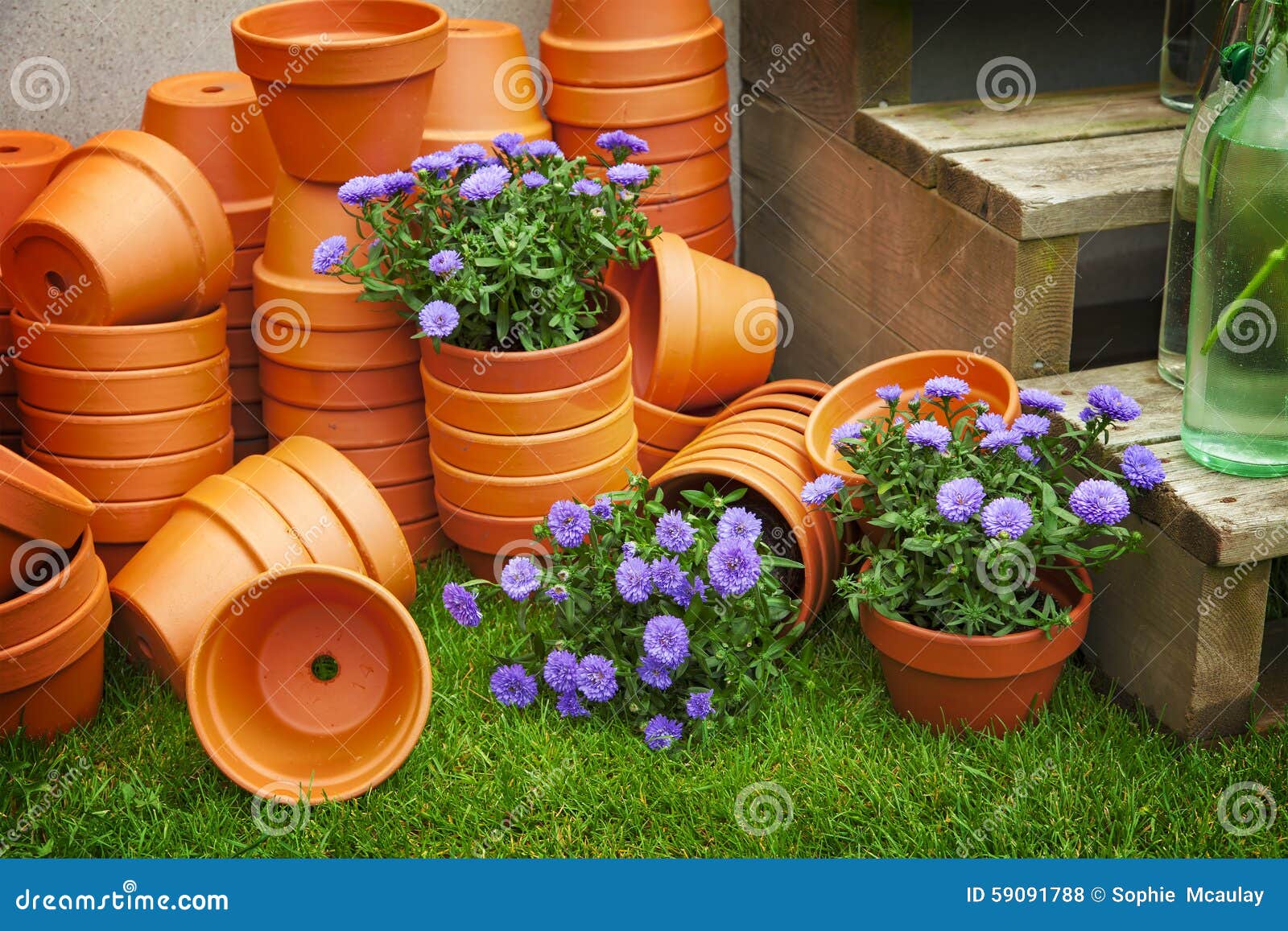 Terracotta flower pots stock photo. Image of background - 59091788